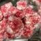 White/Red Carnations - Florabundance Wholesale Flowers