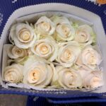 Vendela Roses - Florabundance Wholesale Flowers