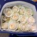 Vendela Roses - Florabundance Wholesale Flowers