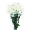 White Cushion Spray Mums - Florabundance Wholesale Flowers