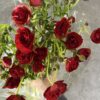 Red Butterfly Ranunculus - Florabundance Wholesale Flowers