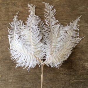 Bleached Japanese Ostrich Feather - Florabundance Wholesale Flowers