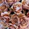 Moab Roses - Florabundance Wholesale Flowers